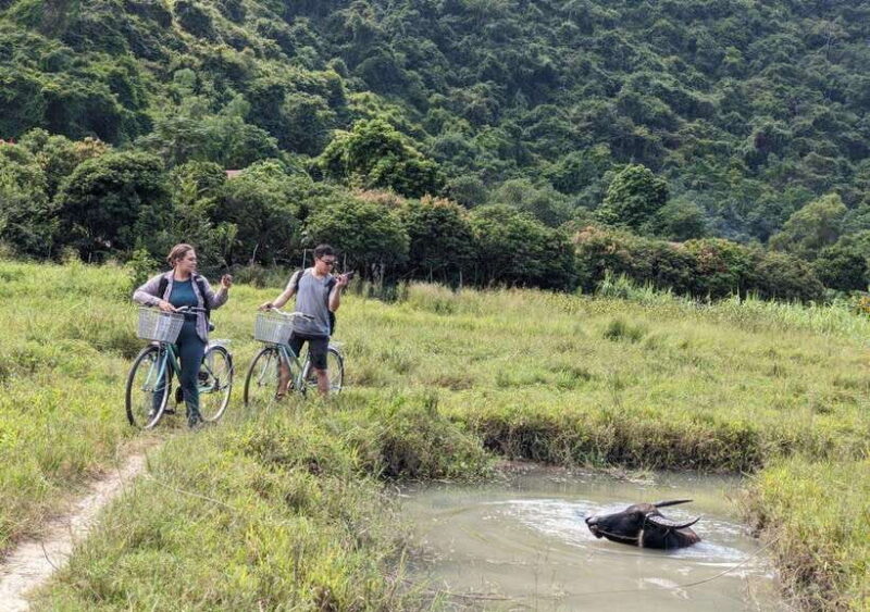 From Cat Ba: Lan Ha Bay Day Trip with Kayaking, Biking& Meal - Is This Tour Worth It?
