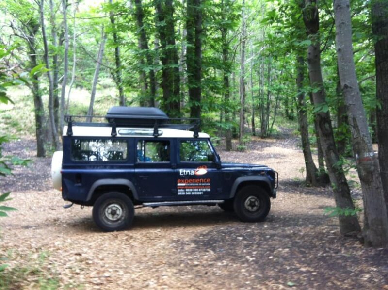 From Catania: 4x4 Mt Etna Jeep Tour - Wrapping up the Day