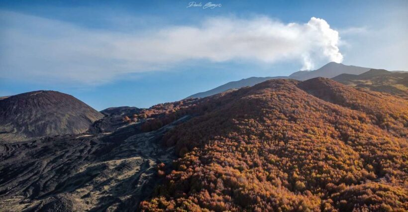 From Catania: Mt. Etna, Wine and Alcantara Tour - Key Points