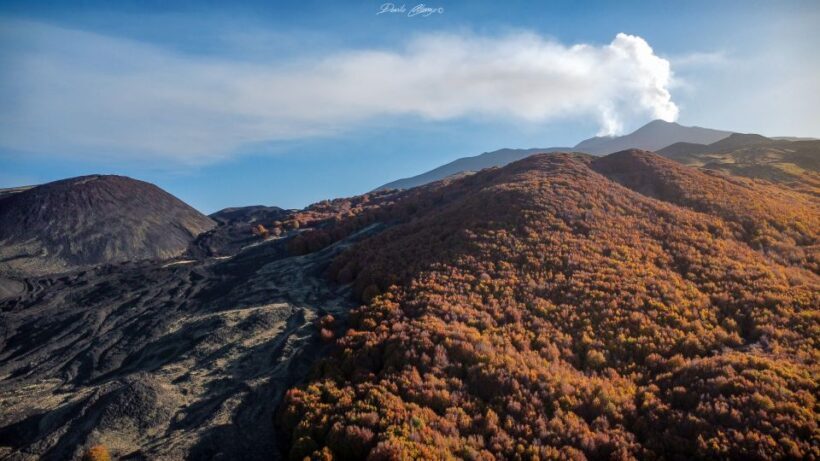 From Catania: Mt. Etna, Wine and Alcantara Tour - Practical Tips for Travelers