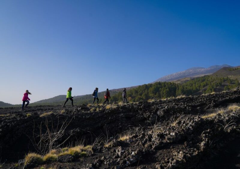 From Catania: Private Mount Etna Trek - What Travelers Say: Authentic Feedback