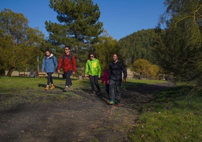 From Catania: Private Mount Etna Trek - Practical Details for Travelers