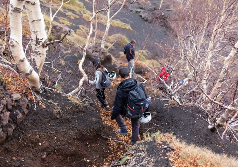 From Catania: Private Mount Etna Trek - The Sum Up: Who Will Love This Tour?