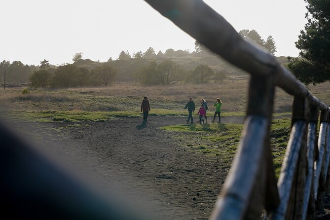From Catania: Private Mt. Etna Trekking and Pic-Nic - Inclusions and Exclusions