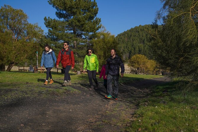 From Catania: Private Mt. Etna Trekking and Pic-Nic - Physical Requirements