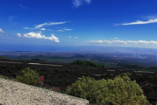 From Catania: Private Mt. Etna Trekking and Pic-Nic - Transportation and Accessibility