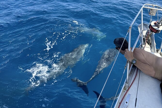 From Catania: Sailboat Tour to Aci Trezza - 4 Hours - Reviews and Feedback From Travelers