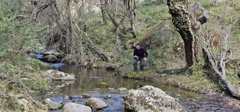 From Catania, Syracuse and Taormina: Fly fishing experience - The Sum Up