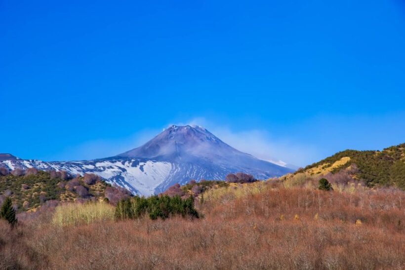 From Catania/Taormina: Mount Etna Private Wine Tasting Tour - Authentic Reviews and What Travelers Say