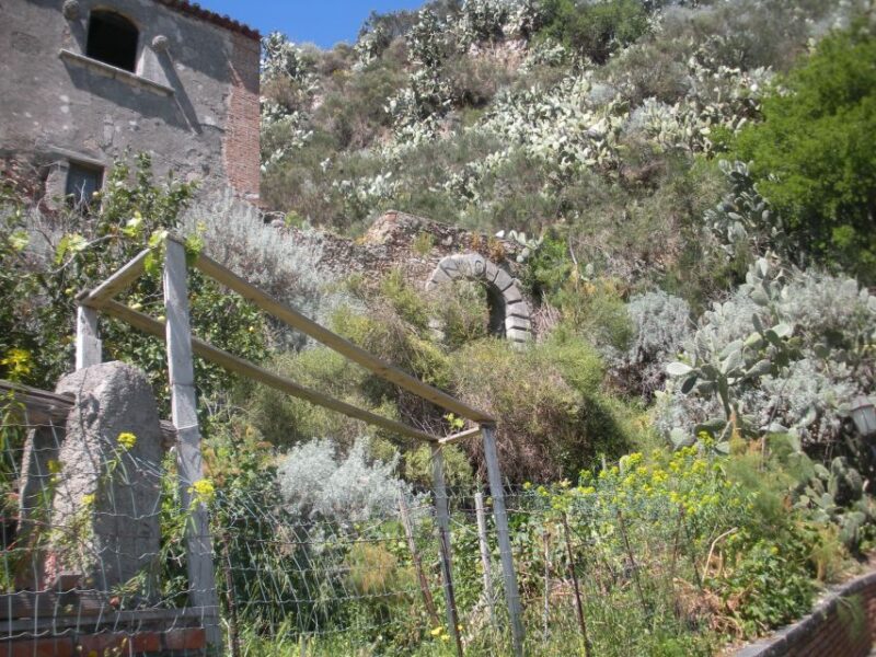 From Catania: The Godfather Movie Day Trip in Sicily - Scenic Drive Through the Sicilian Countryside