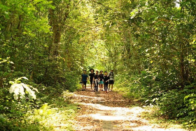 From Catba: Full Day Trekking Cat Ba National Park, Viet Hai - Key Points