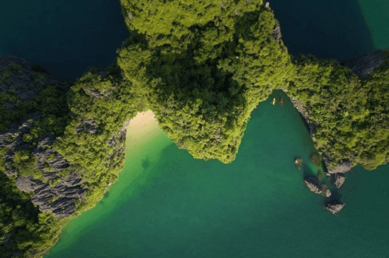 From Catba: Lan Ha Bay - Serenity Premium Cruise with Lunch - Key Points