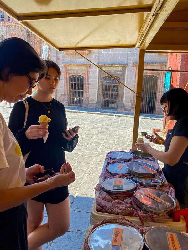 From CDMX: One day tour of colonial San Miguel de Allende - Key Points