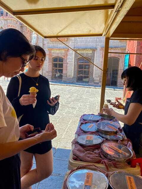 From CDMX: One day tour of colonial San Miguel de Allende - Who Should Book This Tour?