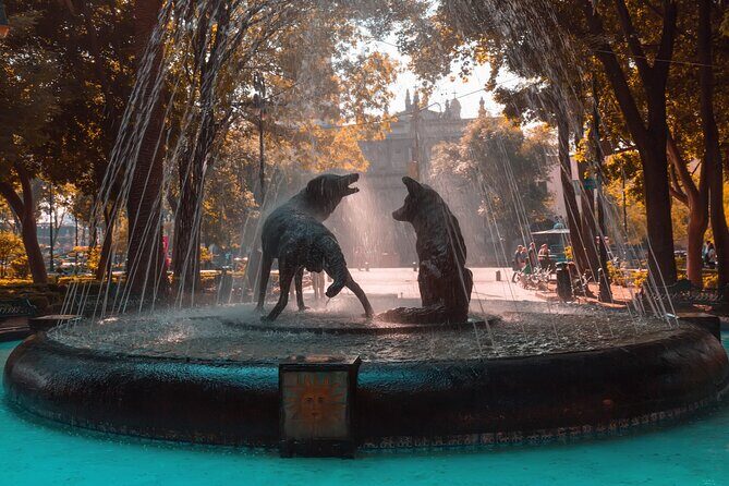 From cdmx: Tour in Coyoacan and Xochimilco all inclusive - A Deep Dive into the Experience