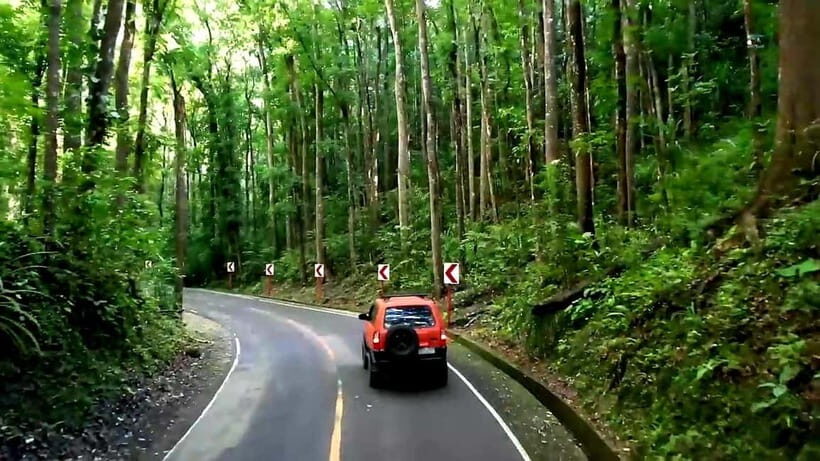 From Cebu: Bohol Countryside & Buffet Lunch Exclusive Tour - Starting Your Day: From Cebu to Bohol