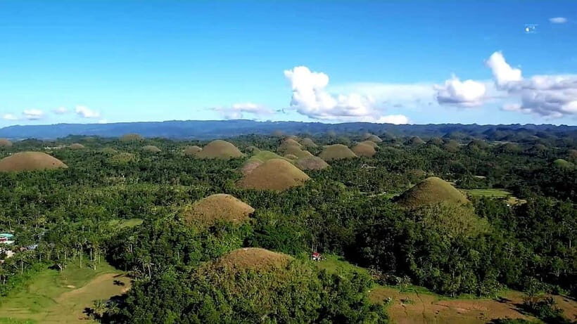 From Cebu: Bohol Countryside & Buffet Lunch Exclusive Tour - Bilar Man-Made Forest