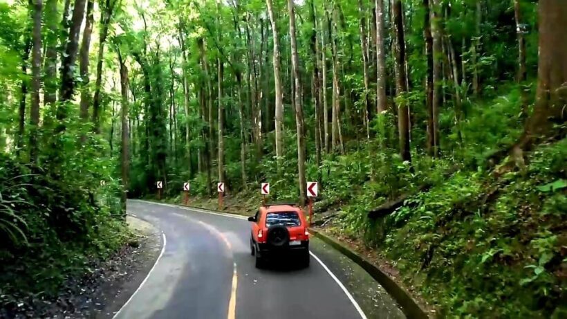 From Cebu: Bohol Countryside & Buffet Lunch Exclusive Tour - Lunch on Loboc River