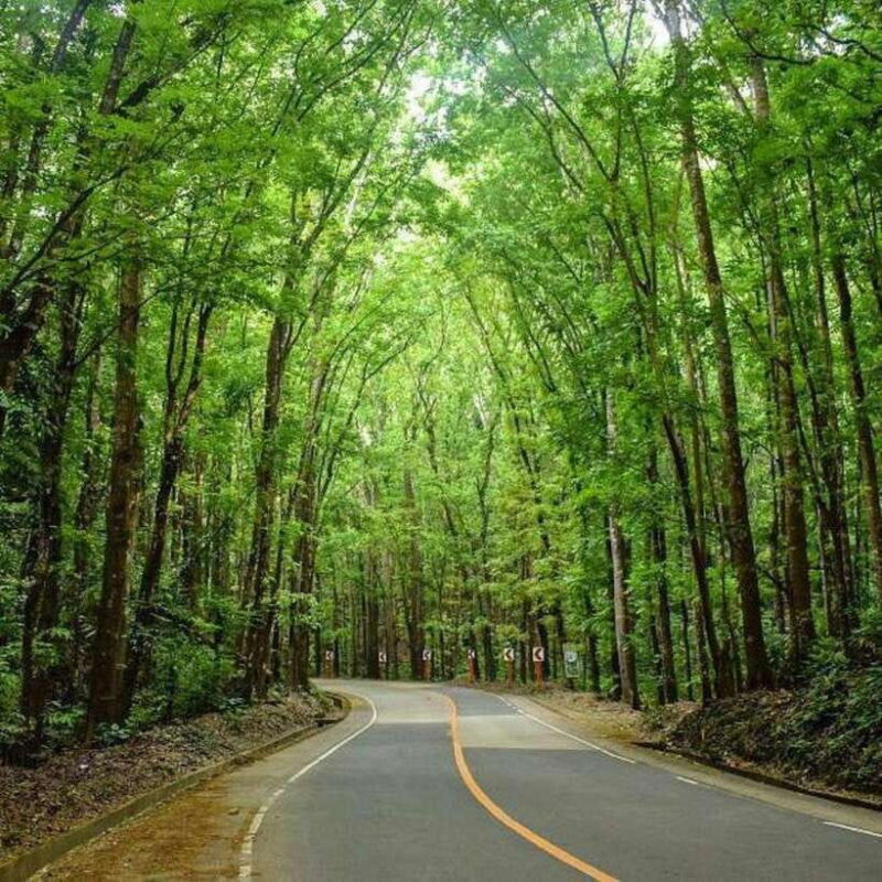 From Cebu: Bohol Countryside Tour Day Trip with Buffet Lunch - Frequently Asked Questions