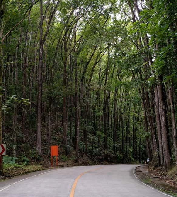 From Cebu-Bohol Day Tour with Roundtrip Ferry Transfers - Key Points