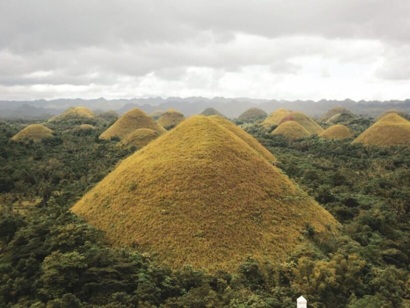 From Cebu-Bohol Day Tour with Roundtrip Ferry Transfers - A Practical Guide to the Cebu-Bohol Day Tour