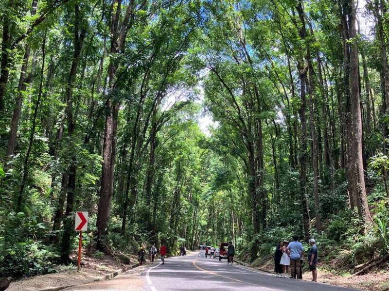 From Cebu City: Bohol Island Highlights in One Day - Wrap-up and Return