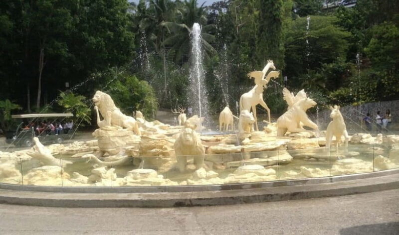 From Cebu City: Cebu Safari and Adventure Park Day Tour - The Value of the Experience