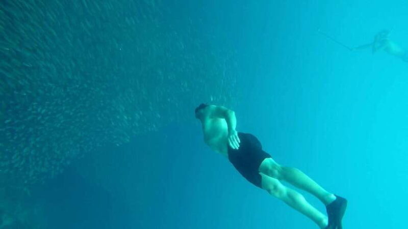 From Cebu City: Moalboal Pescador Snorkeling Tour + Lunch - Considerations and Tips