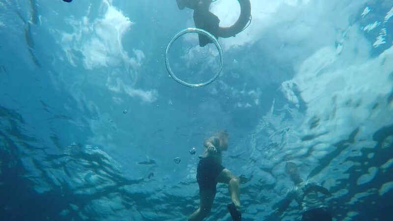 From Cebu City: Moalboal Pescador Snorkeling Tour + Lunch - Final Thoughts