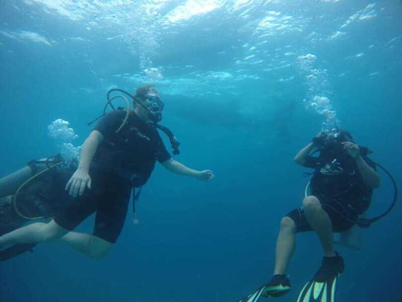 From Cebu City: Scuba Diving Adventure with Whale Sharks - Key Points