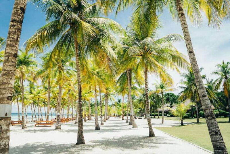 From Cebu: Day Trip to Bohol Highlights - Who Will Love This Tour?