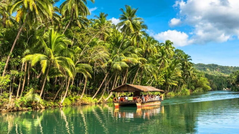 From Cebu: Full-Day Bohol Excursion - Key Points