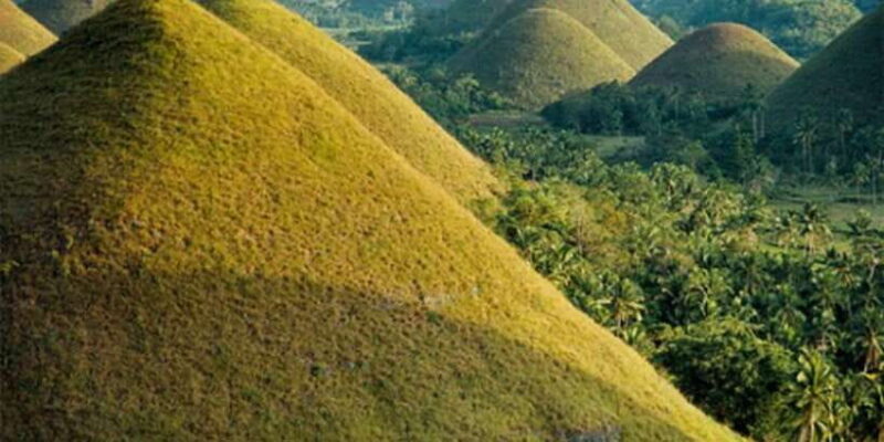 From Cebu: Full-Day Bohol Excursion - Authentic Experiences and Authenticity