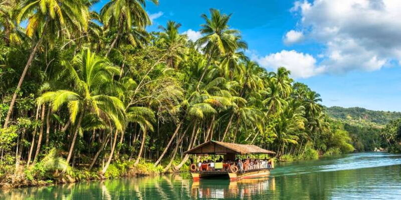 From Cebu: Full-Day Bohol Excursion - Who Will Love This Tour?