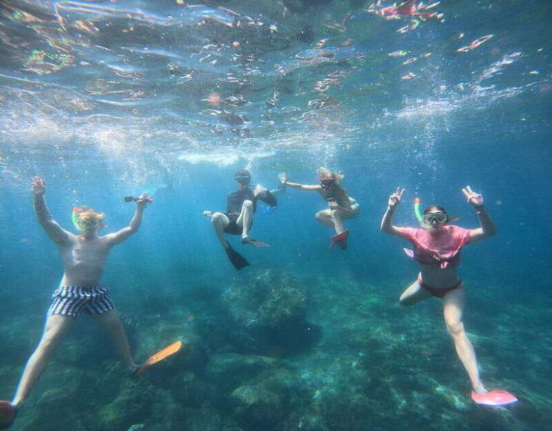 From Ceningan: Snorkeling with Manta Rays at Manta Point - Who Will Love This Tour?