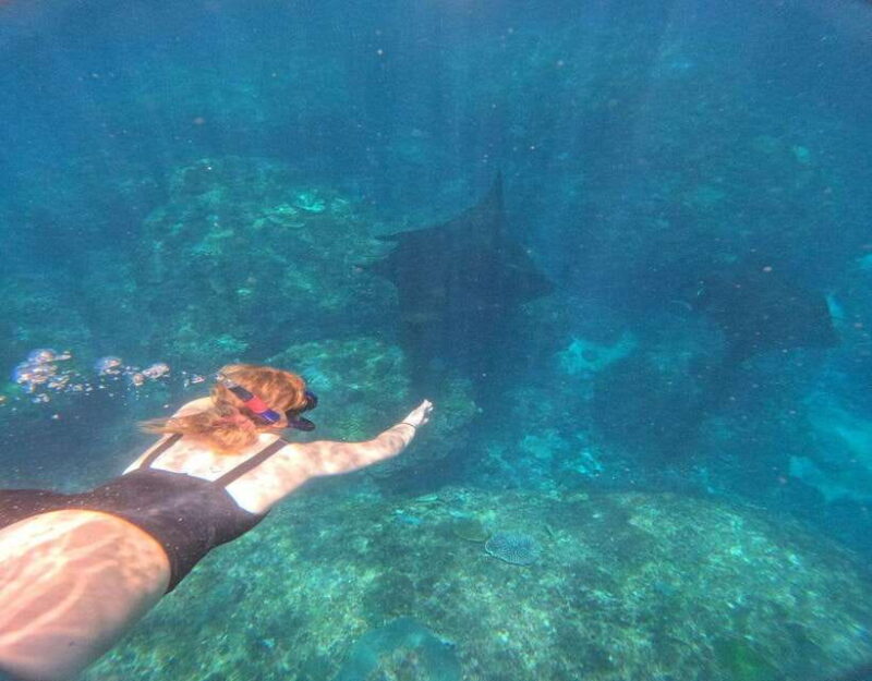 From Ceningan: Snorkeling with Manta Rays at Manta Point - Final Thoughts