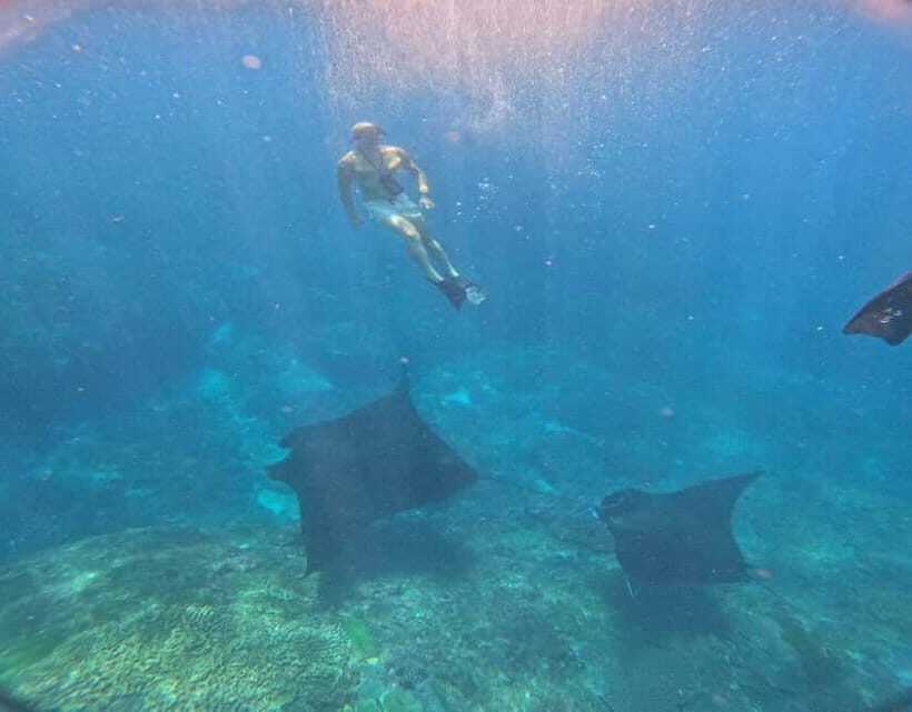From Ceningan: Snorkeling with Manta Rays & Land Tour - Who Will Love This Tour?