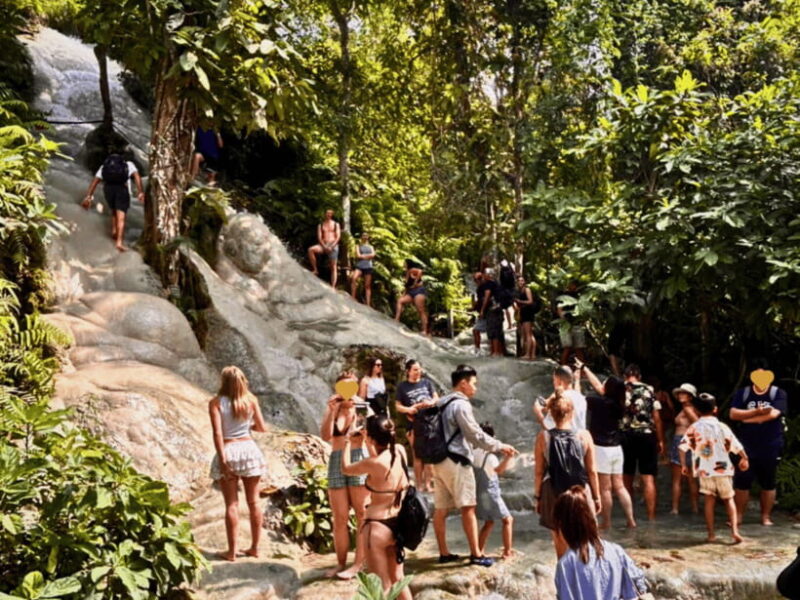 From Chang Mai: Sticky Waterfall Private Day Trip - Key Points