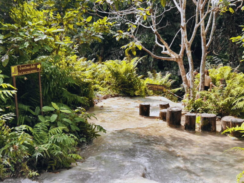 From Chang Mai: Sticky Waterfall Private Day Trip - Who It’s Best For