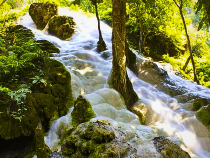 From Chang Mai: Sticky Waterfall Private Day Trip - FAQ