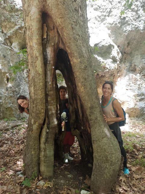 From Chania: Agia Irini Gorge Hike & Beach Relaxation - FAQ