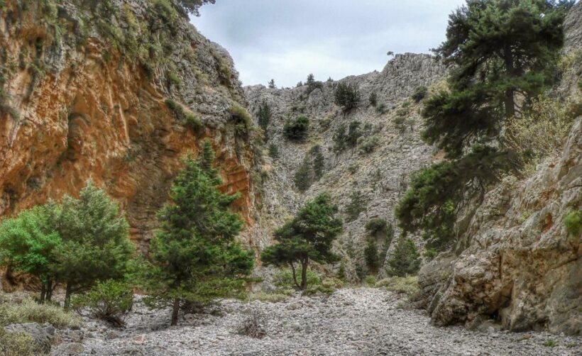 From Chania/Almyrida : Imbros Gorge Hike - Key Points