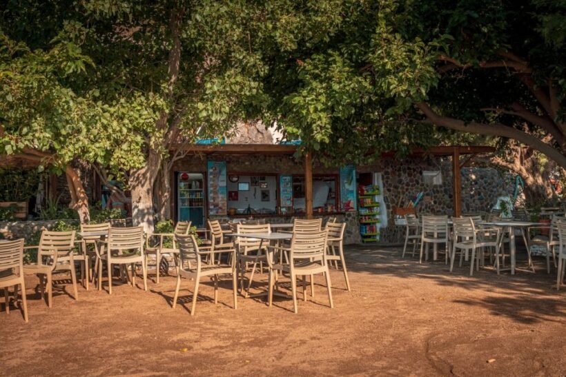 From Chania: Day Trip to Preveli Beach & Damnoni Beach - Authenticity & Practical Tips
