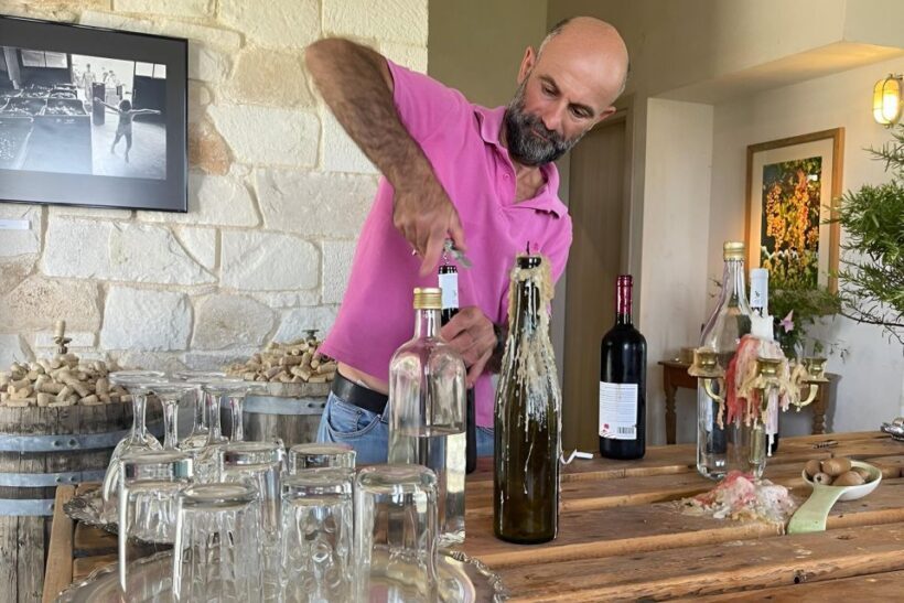 From Chania: Falassarna Beach, Wine & Olive Oil Private Tour - A Closer Look at the Tour Experience