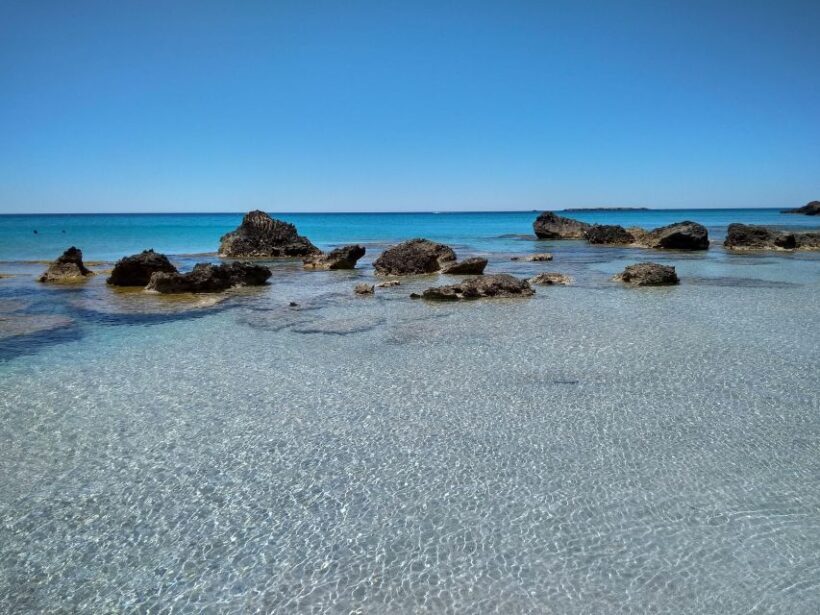 From Chania: Falassarna Beach, Wine & Olive Oil Private Tour - Why This Tour Offers Good Value