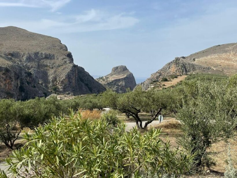From Chania: Falassarna Beach, Wine & Olive Oil Private Tour - Who Will Love This Tour?