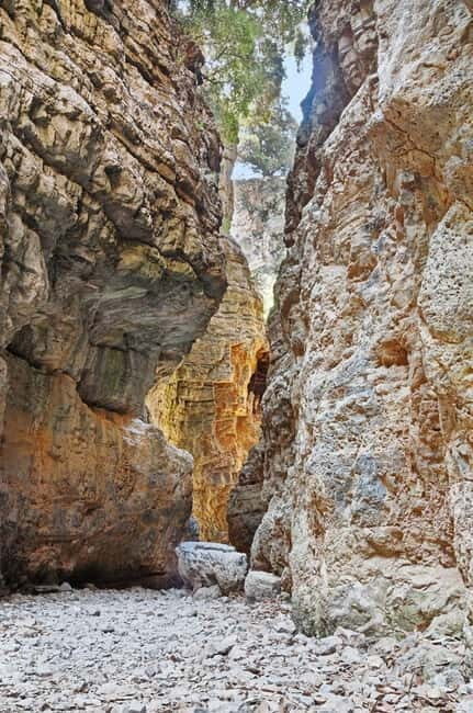 From Chania: Imbros Gorge and Sfakia Experience Hike & Swim - What’s Included and What’s Not