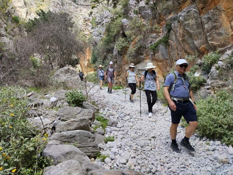From Chania: Imbros Gorge Hike&Authentic Culinary Experience - Who Will Love This Tour?