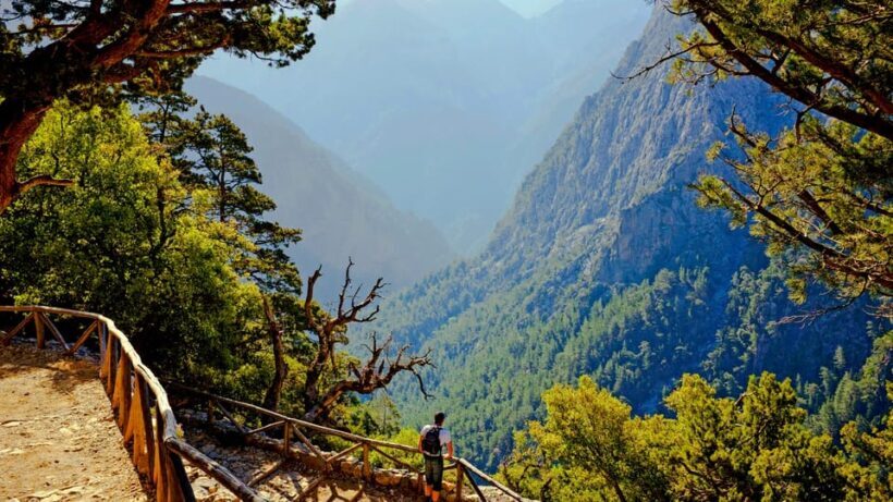 From Chania/Rethymno: Samaria Gorge Easy Way - What Tour Participants Say