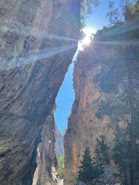 From Chania: Samaria Gorge Hiking tour - What Reviewers Say
